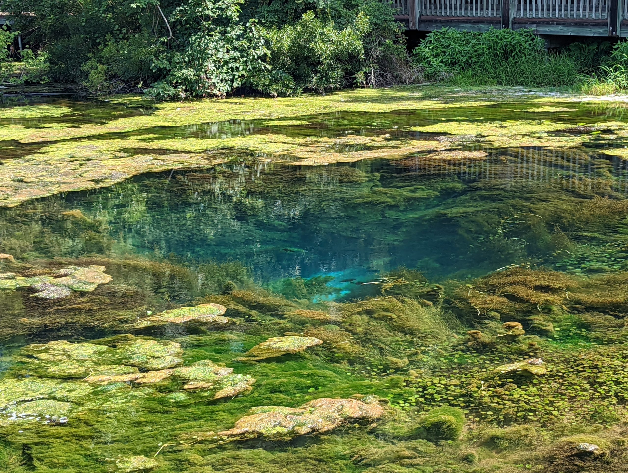 Exploring Magnolia Springs State Park - Simply Explore Nature