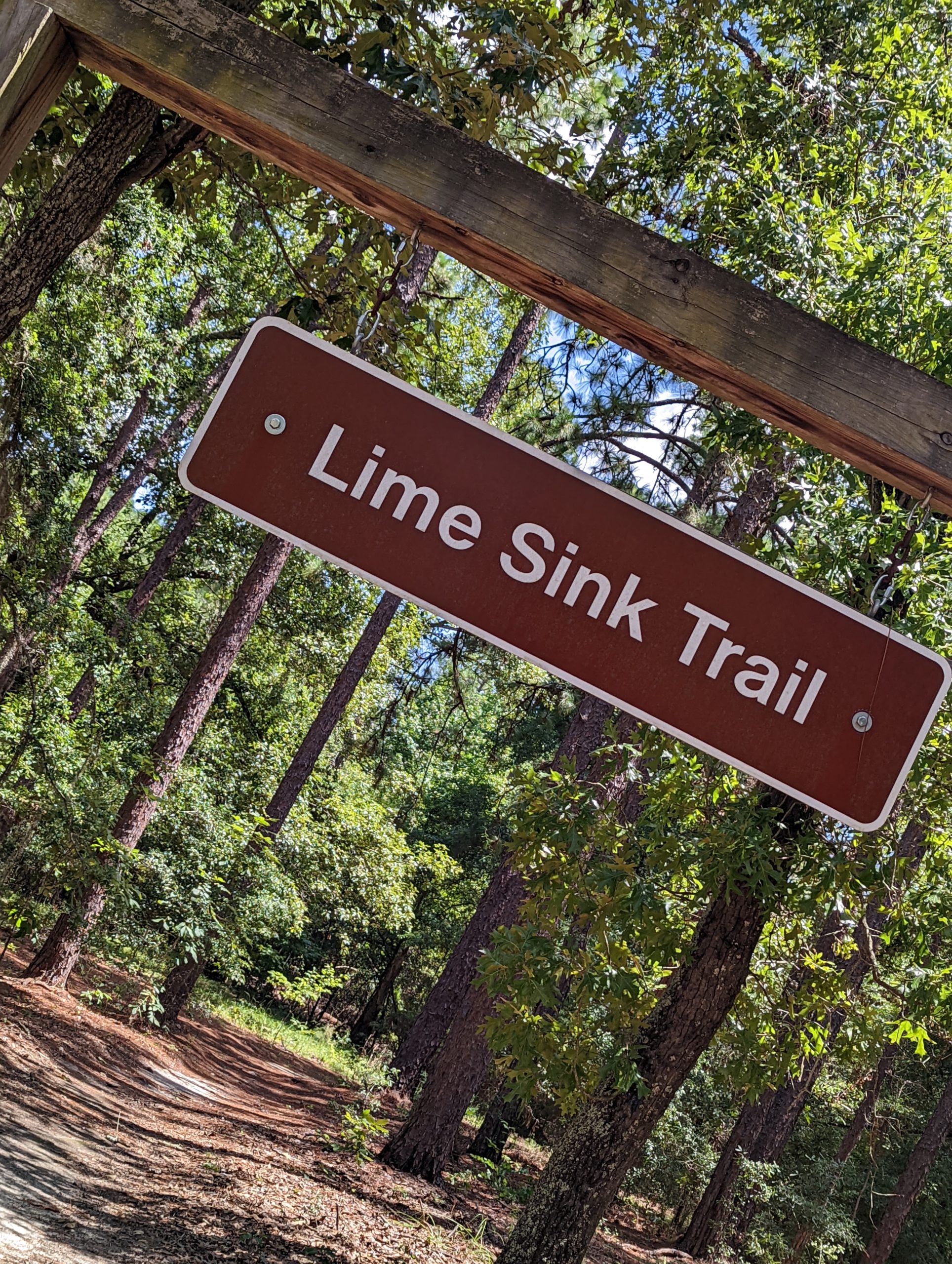 Exploring Magnolia Springs State Park - Simply Explore Nature